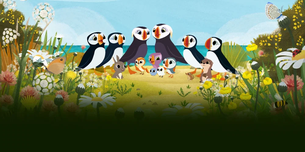 Nouveaux copains à Puffin Rock : horaires et séances à Brumath
